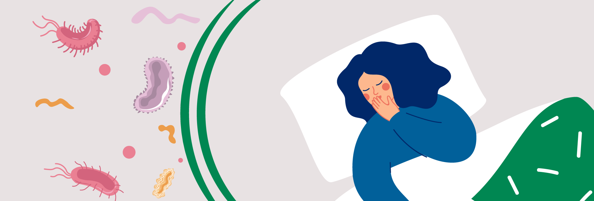 Connecting The Dots Between Sleep & Immunity – Jamieson Vitamins