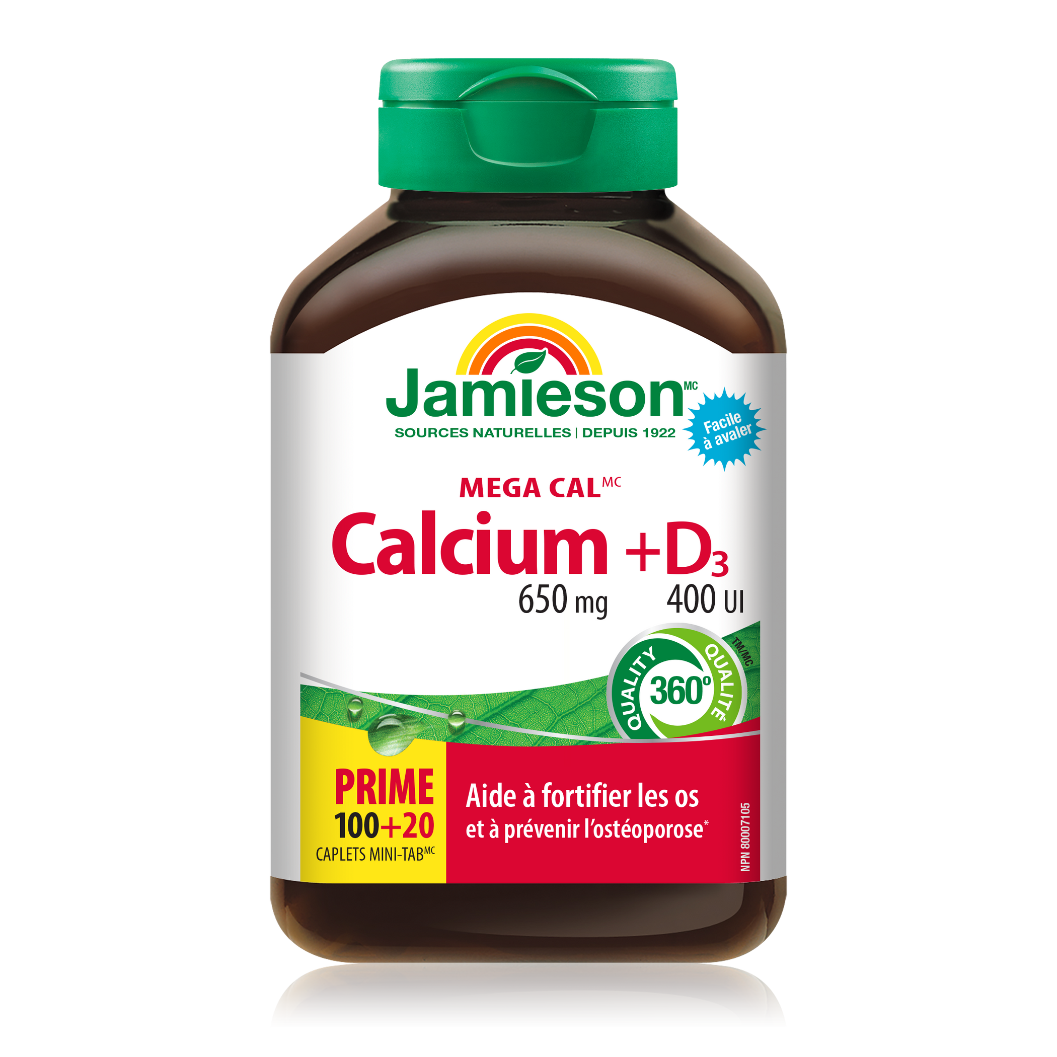 Mega Cal | Calcium & Vitamin D3 – Jamieson Vitamins