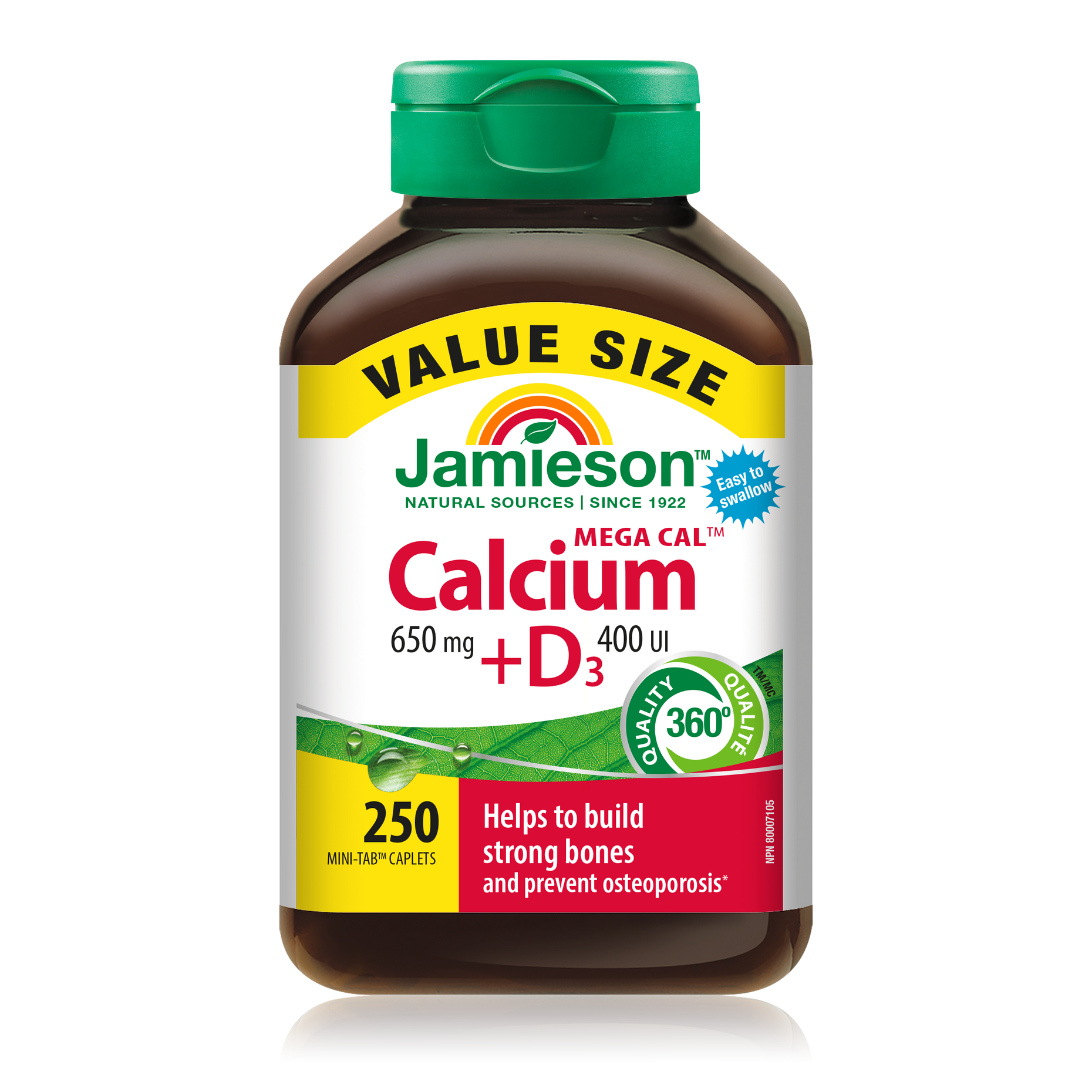 Mega Cal | Calcium & Vitamin D3 – Jamieson Vitamins
