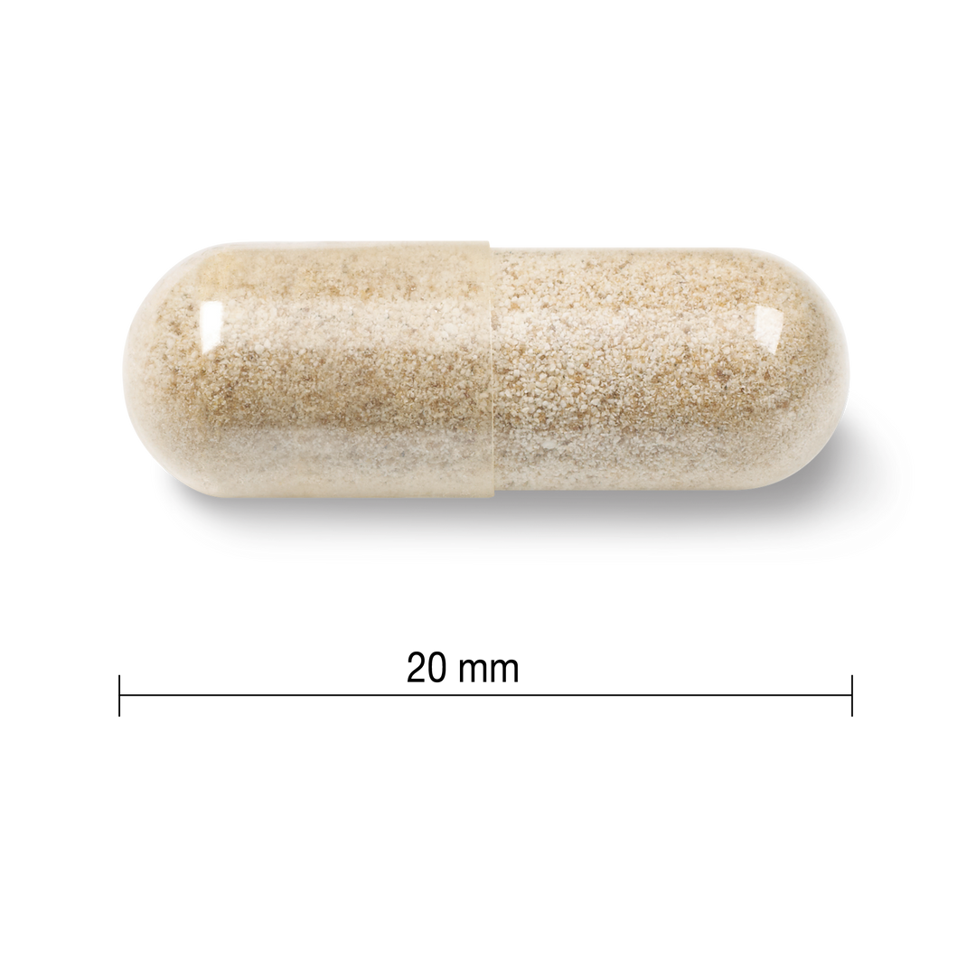Gentle Iron – Jamieson Vitamins