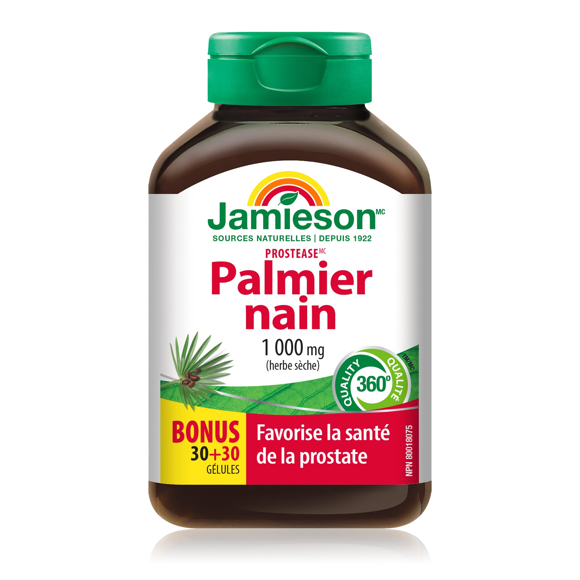 Prostease Saw Palmetto – Jamieson Vitamins